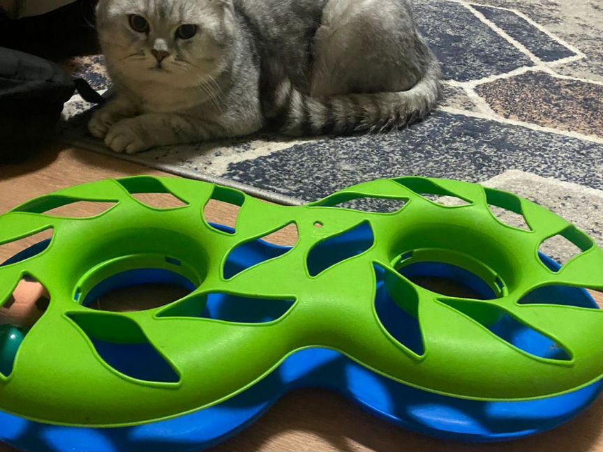 Развивающая игрушка для кошек