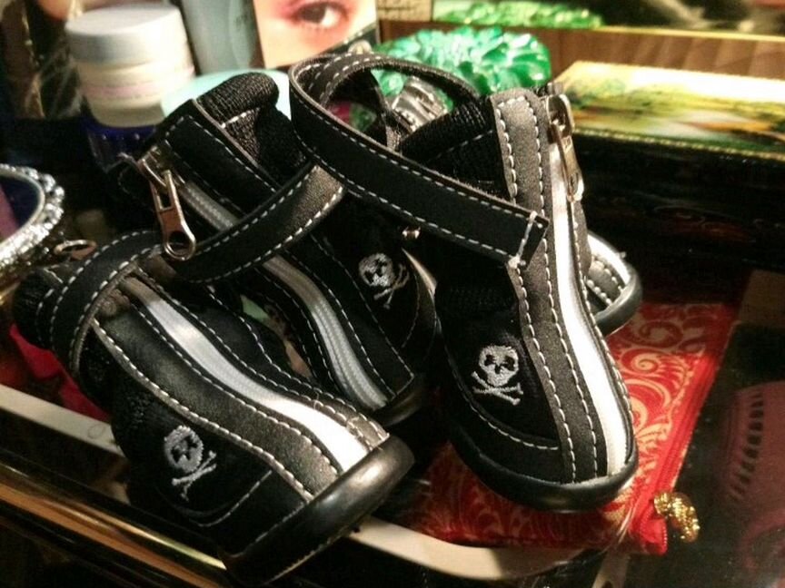 Одежда для собак