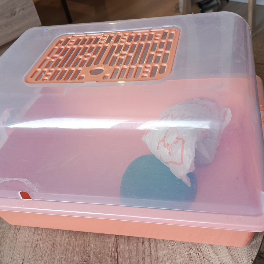 Террариум для улиток