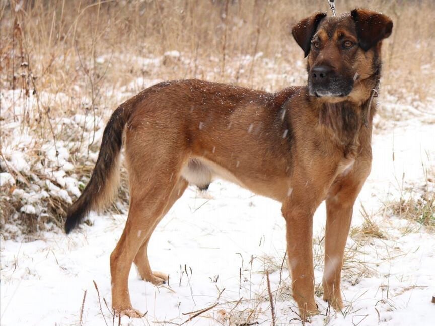 Простите, что живу. джек