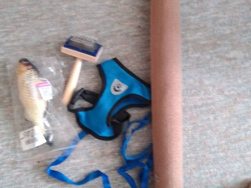 Когтеточка для кошек