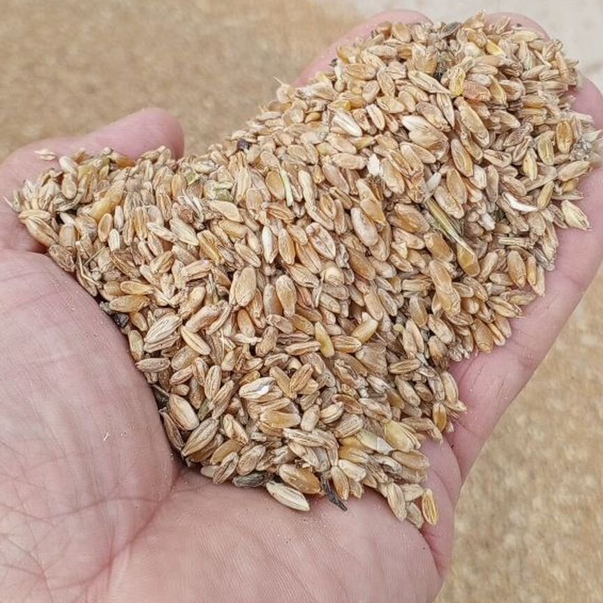 Пшеничные отходы