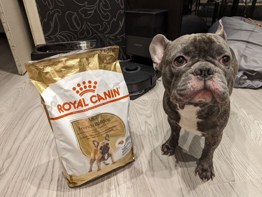 Royal Canin French Bulldog Adult