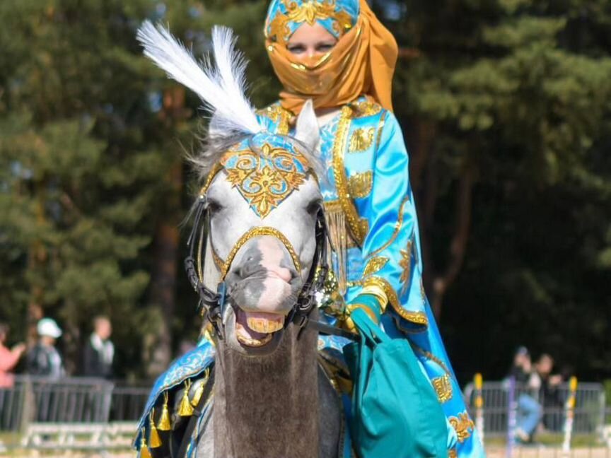 Арабская амуниция
