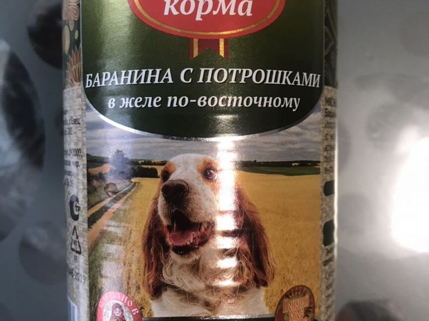 Влажный корм для собак