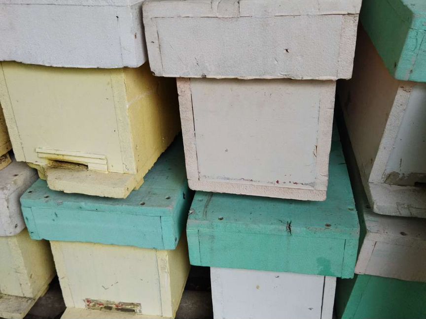 Продам ульи для пчел