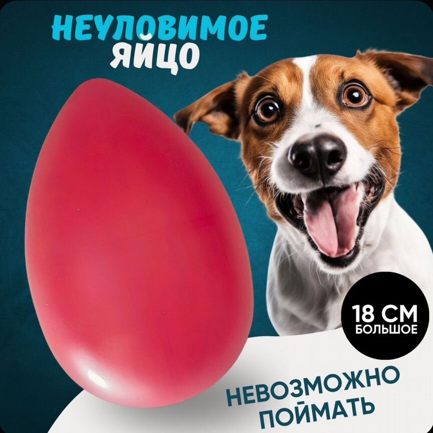 Игрушка для собак яйцо