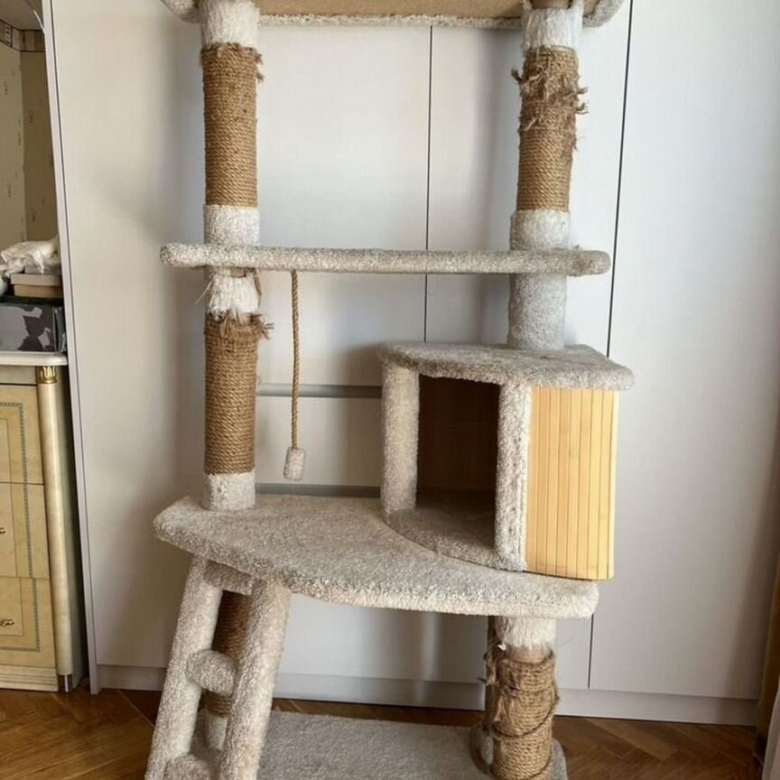 Когтеточка