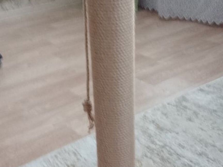 Когтеточка