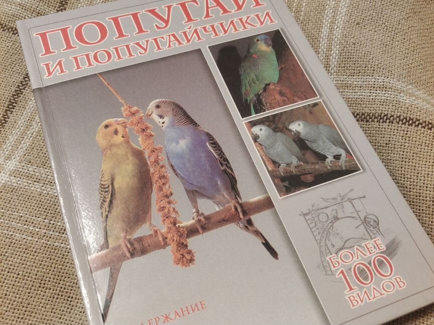 Попугаи и попугайчики
