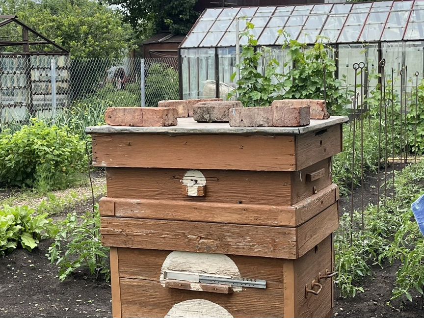 Продам ульи для пчел и медогонка