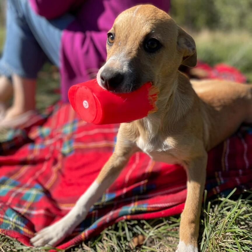 Мы ждём чудо