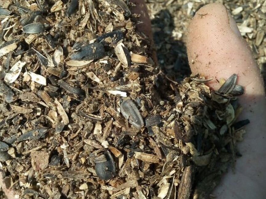 Отходы семечек