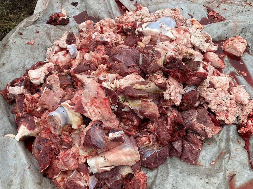 Мясо говядина для собак