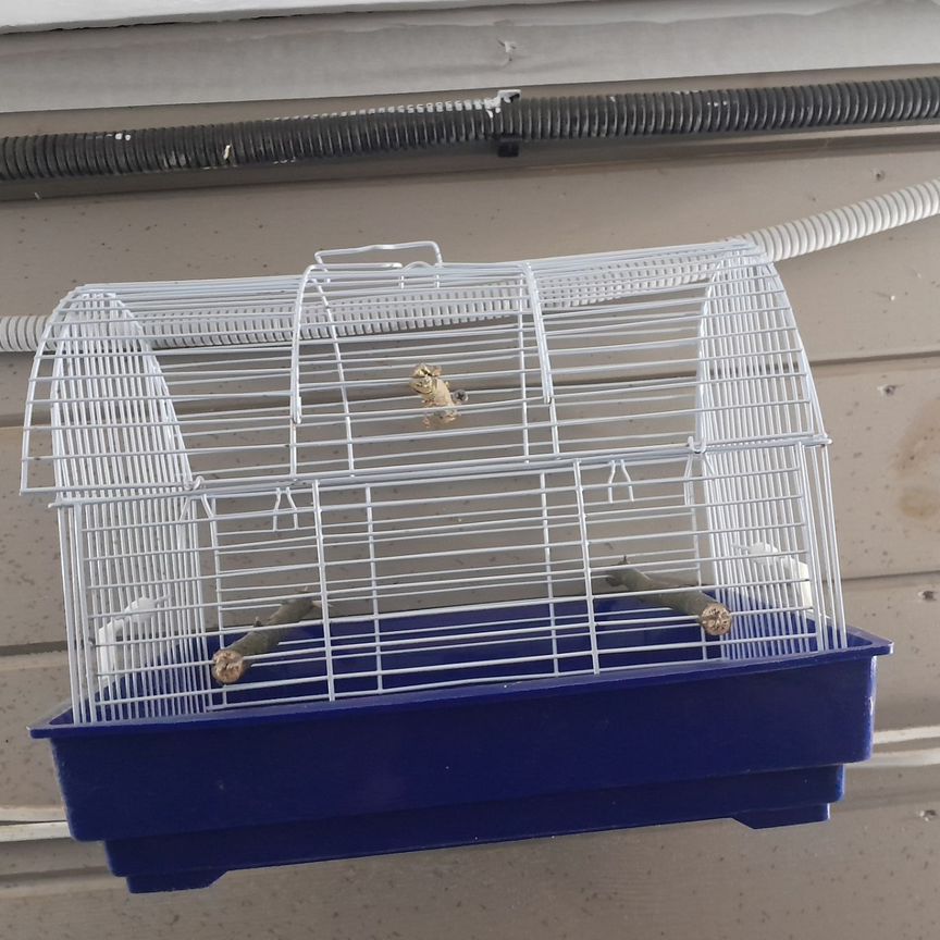 Клетка деревянные для шегол