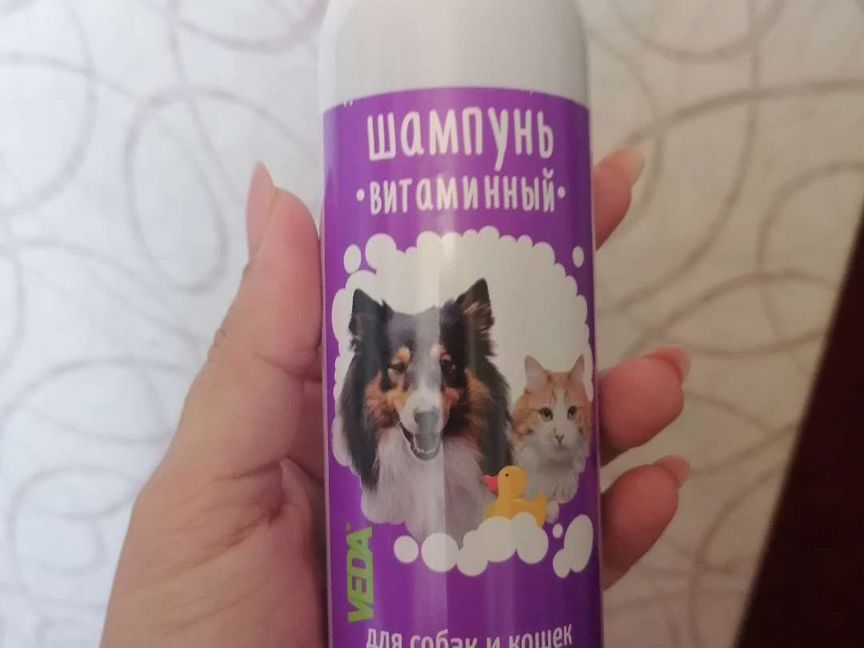 Шампунь