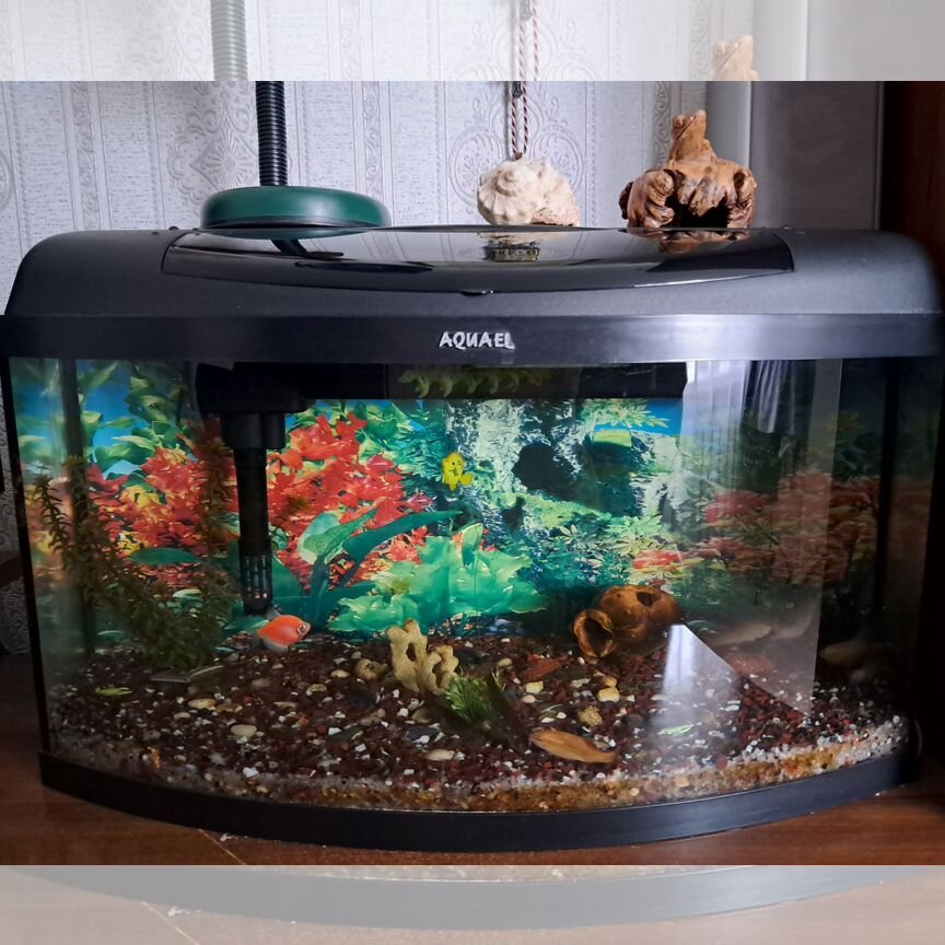 Аквариум