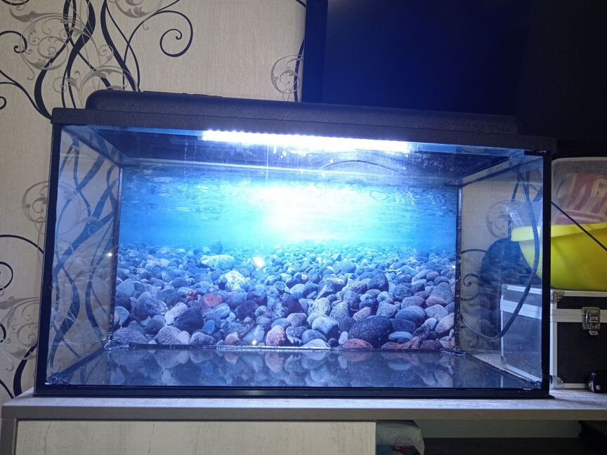 Аквариум 80 л