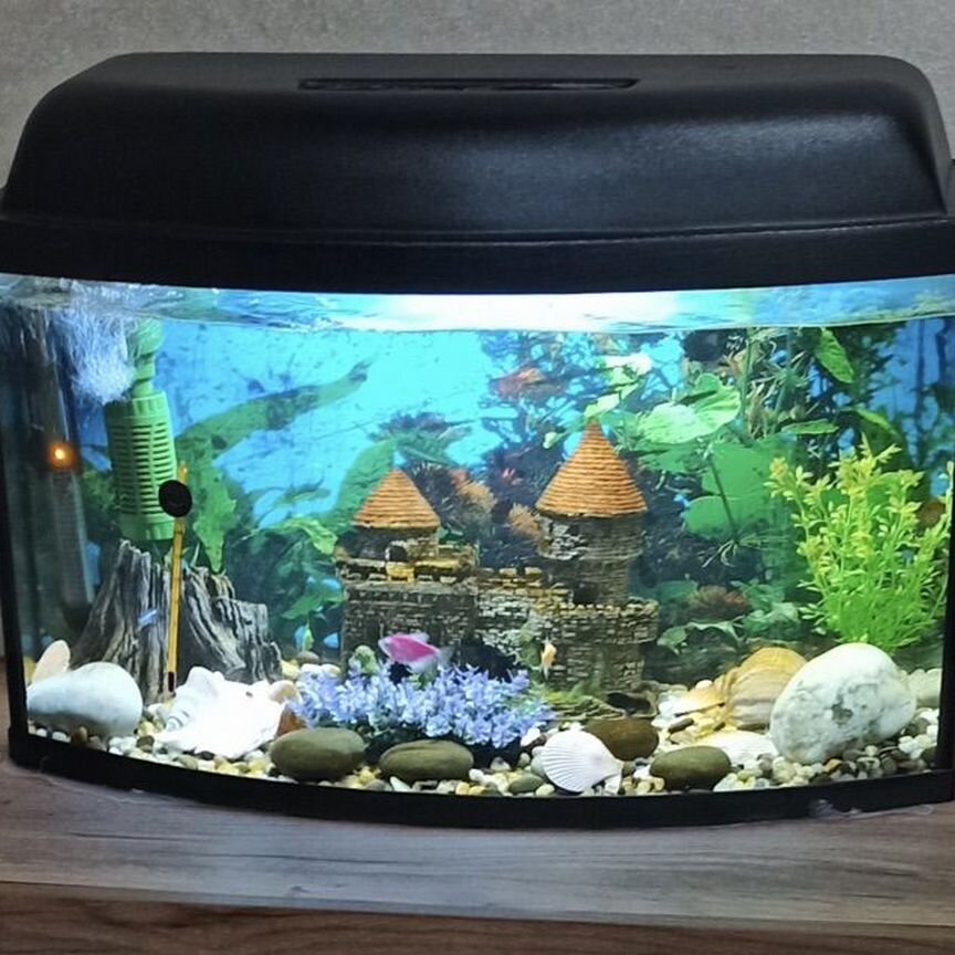 Аквариум на 60 литров с наполнением и рыбками