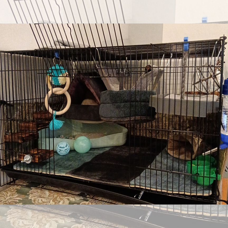 Гамаки в клетку