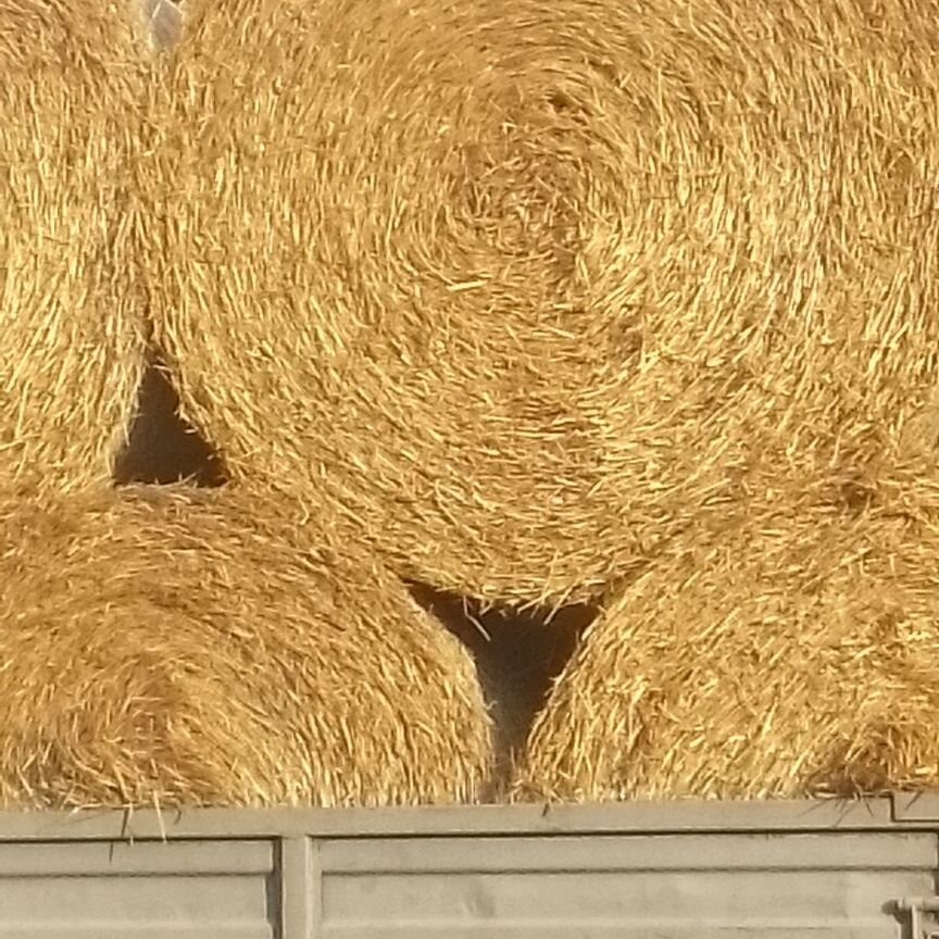 Корма для сельскохозяйственных