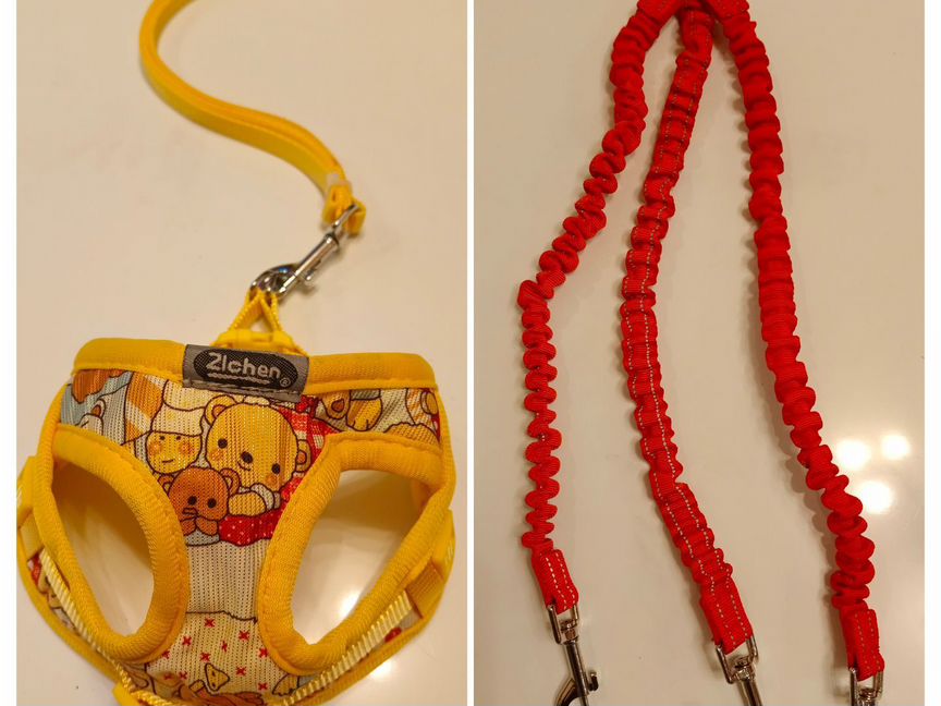 Шлейка для маленькой собаки и Сворка для 2-3-х соб