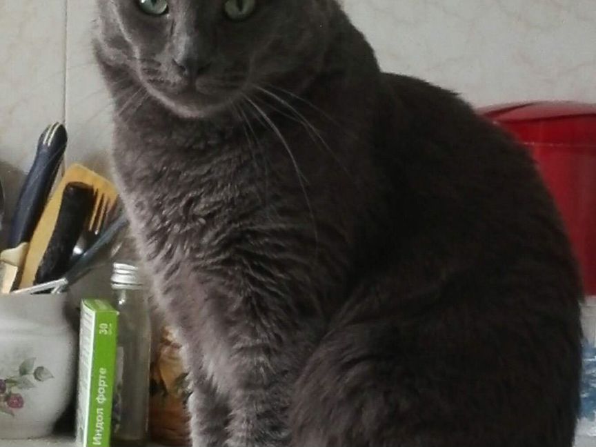 Мы идем туда, где нас ждет любовь