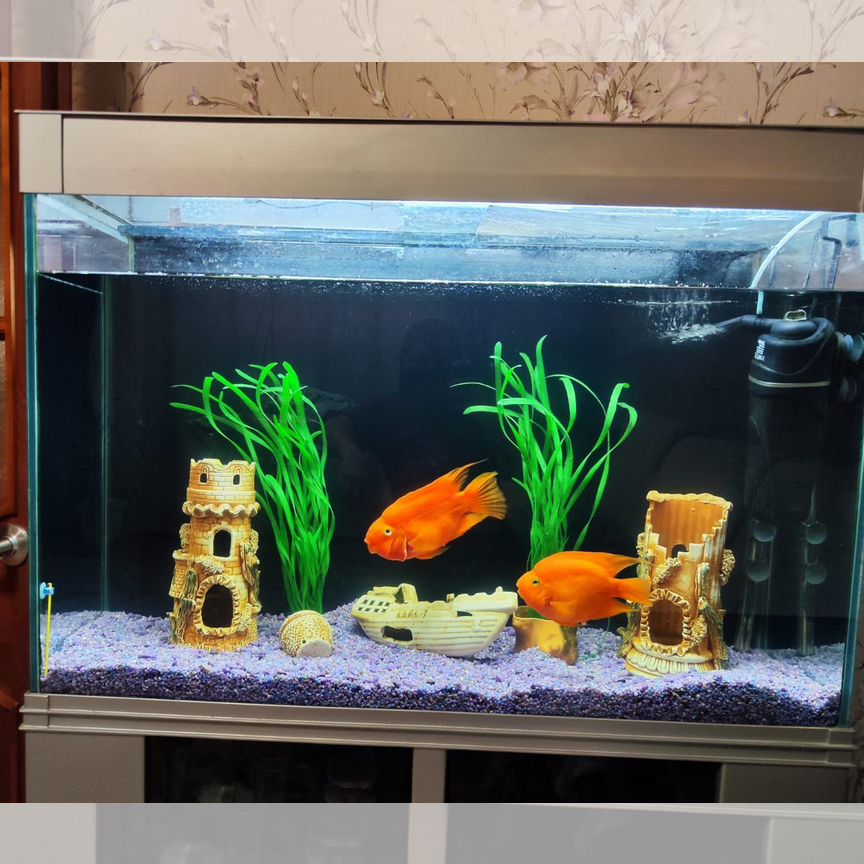 Аквариум 200 литров с тумбой