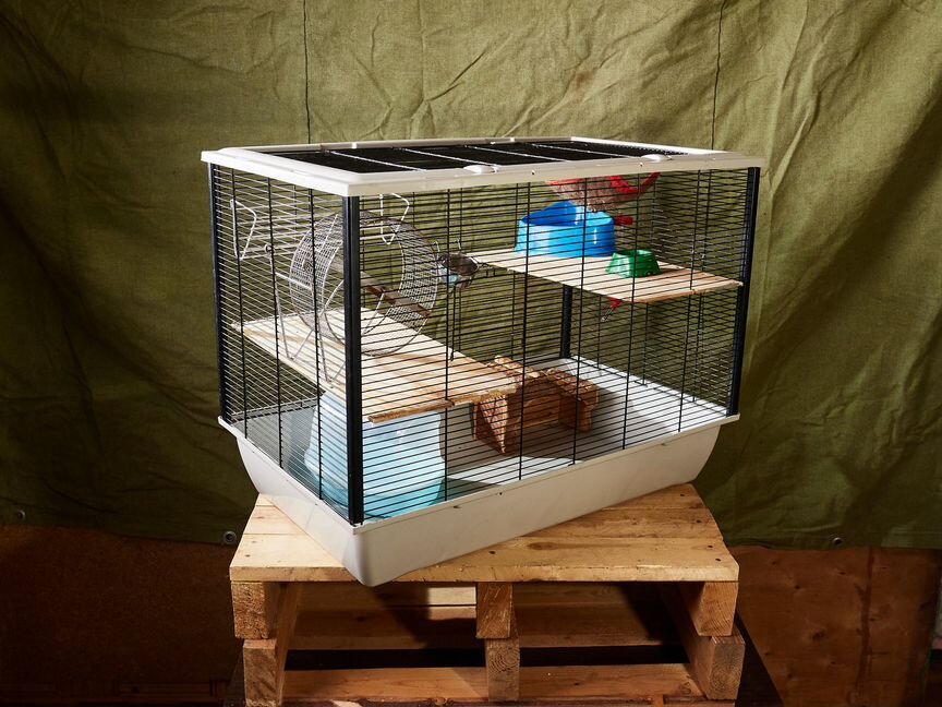 Клетка для грызунов дегу крыс шиншилл хорька