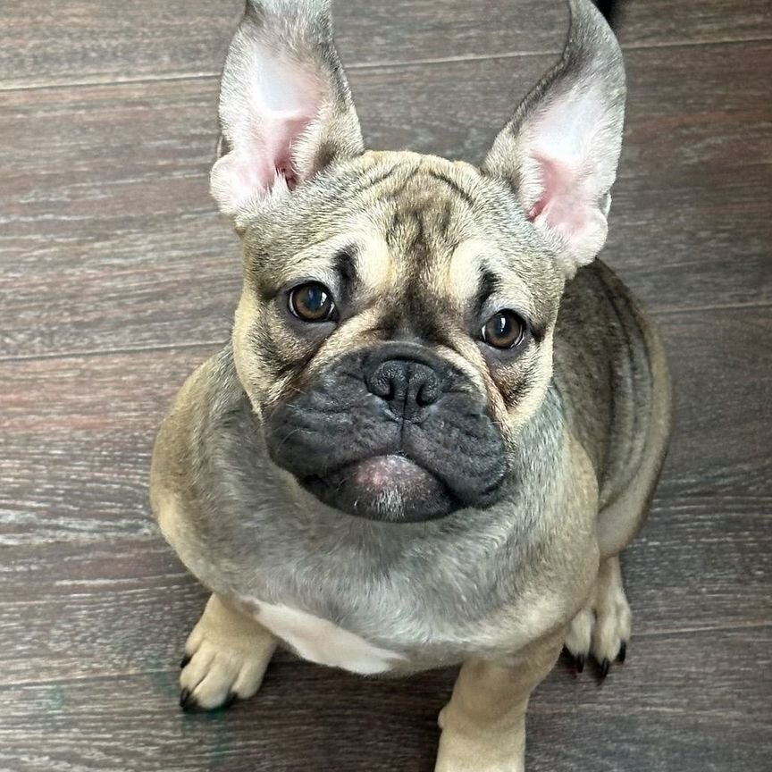 Мини булочка