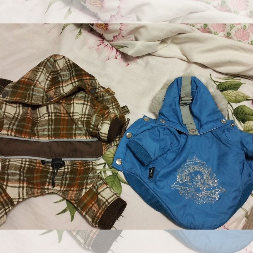 Одежда для маленьких собак s