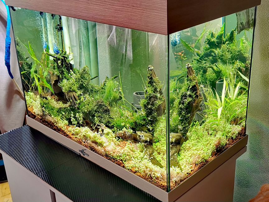 Аквариум biodesign (Биодизайн) с тумбой бу