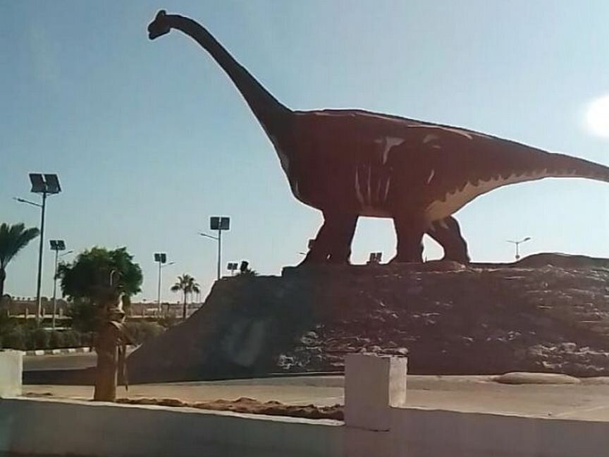 Инкубационное яйцо