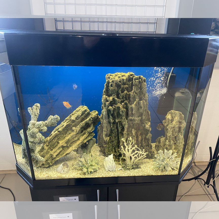 Аквариум с тумбой, с рыбками