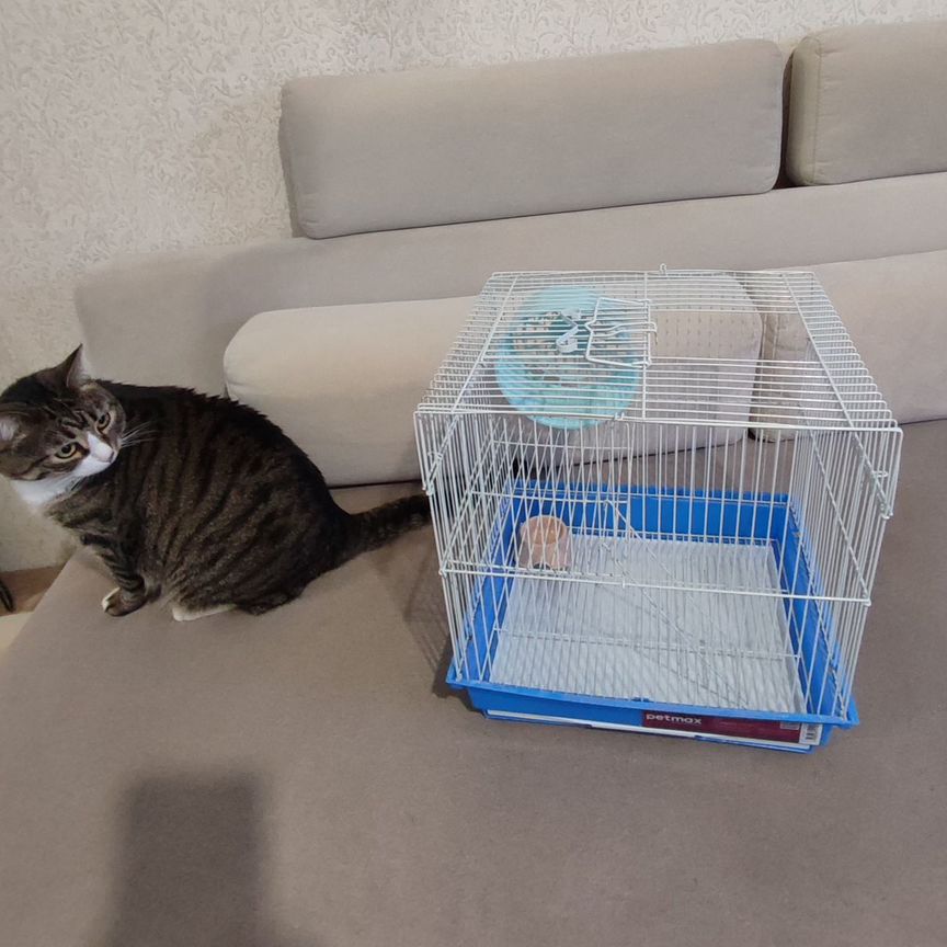 Клетка для грызунов petmax