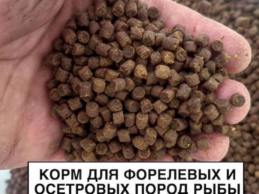Корм для рыб