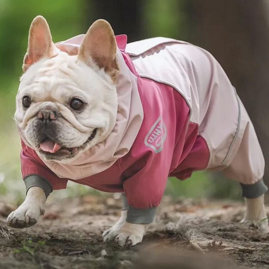 Дождевик для собаки