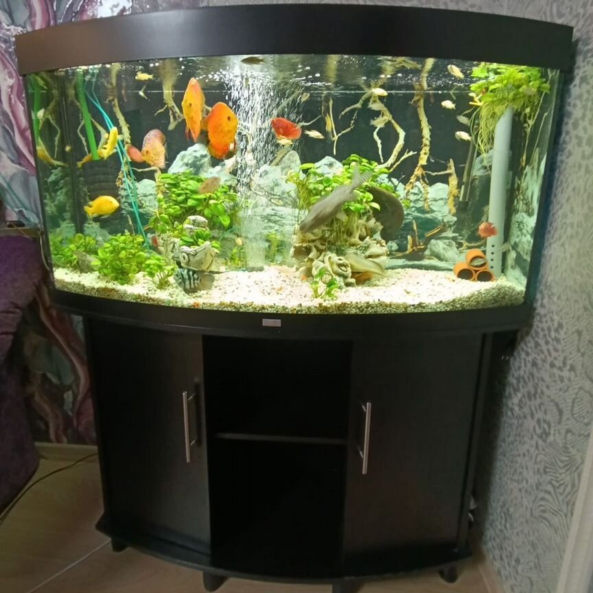 Juwel vision 260 LED