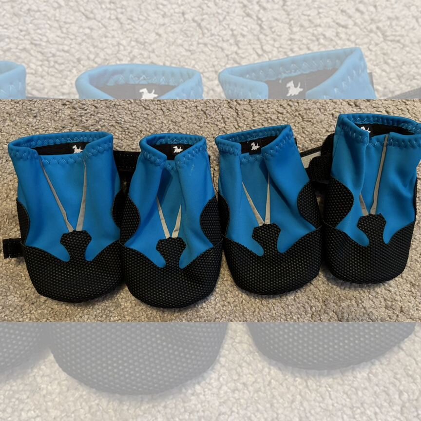 Обувь для собак