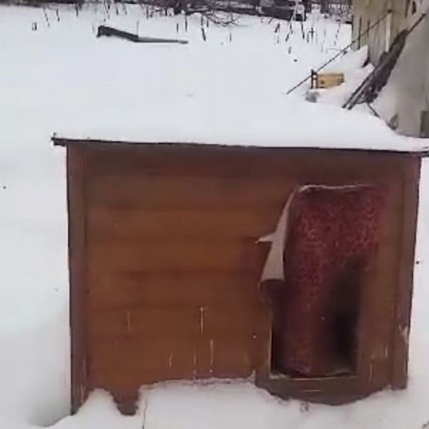 Теплая будка для собак