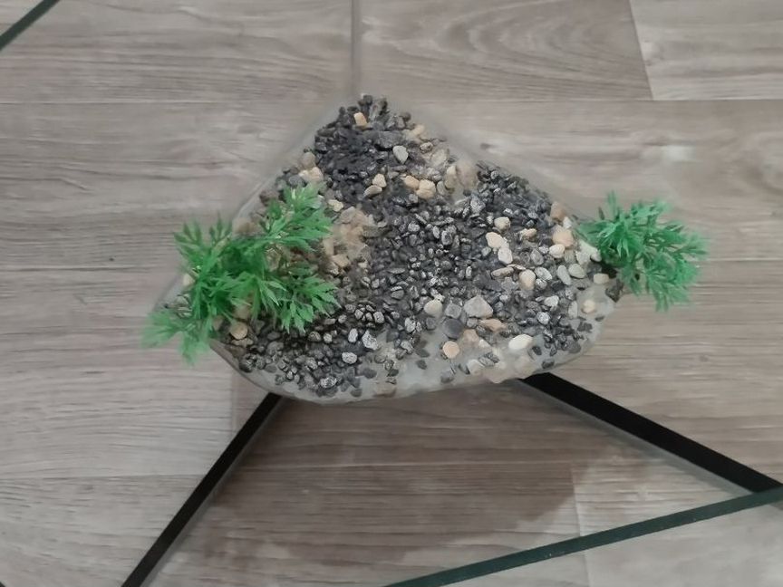 Аквариум с островком