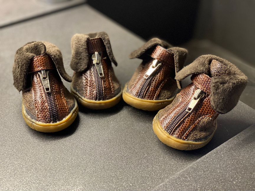 Ботинки,обувь для собак