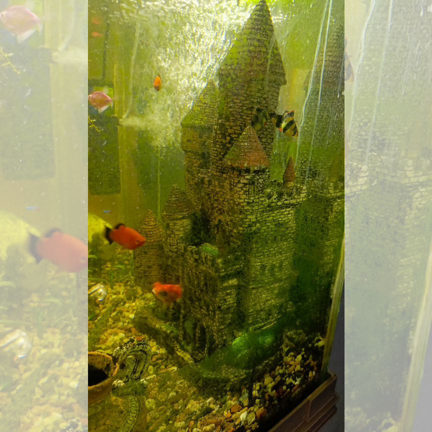 Замок для рыб