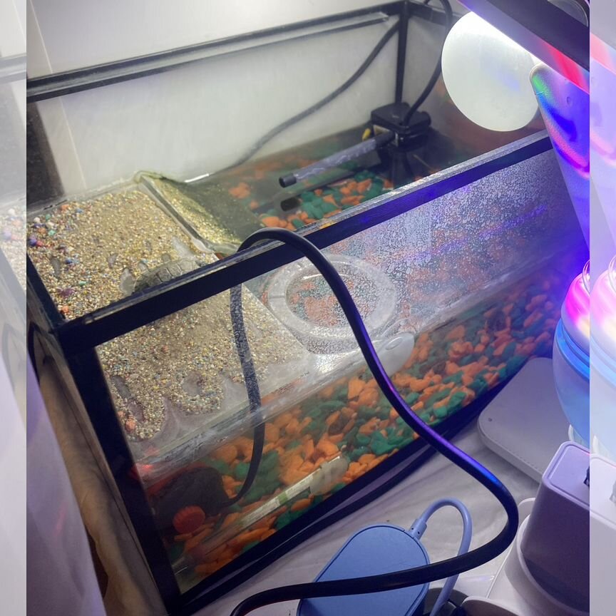 Аквариум для красноухой черепахи