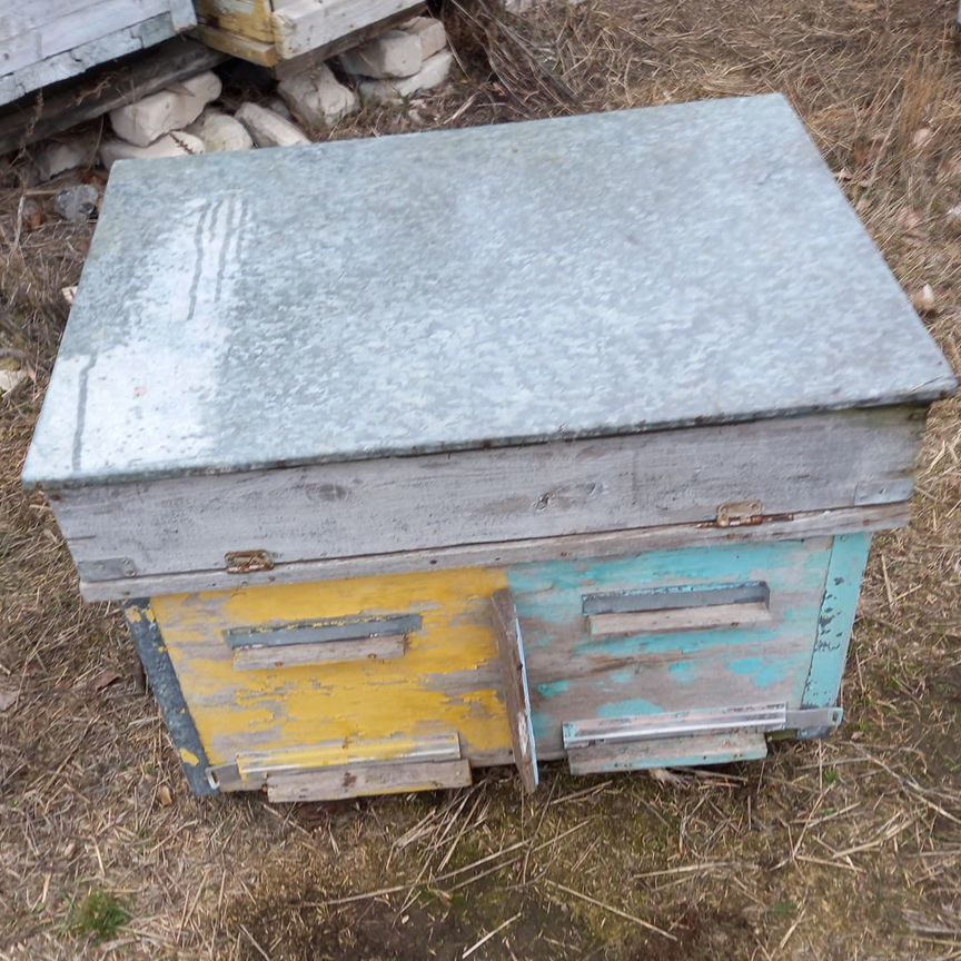 Ульи для пчел