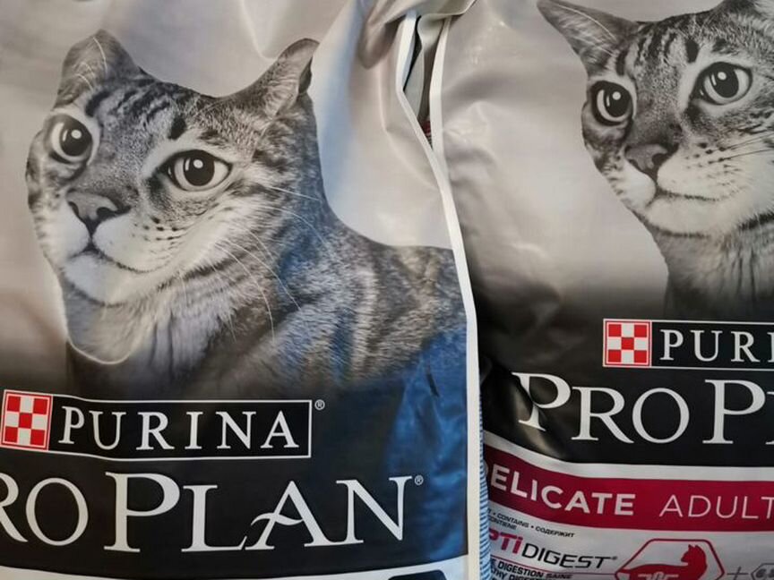 Проплан ProPlan деликат ягненок 10 кг Корм д/кошек