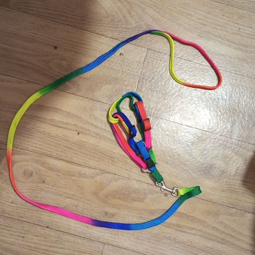 Поводок с ошейником для выгула собачки или кота