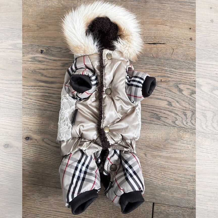 Одежда для мини йорка