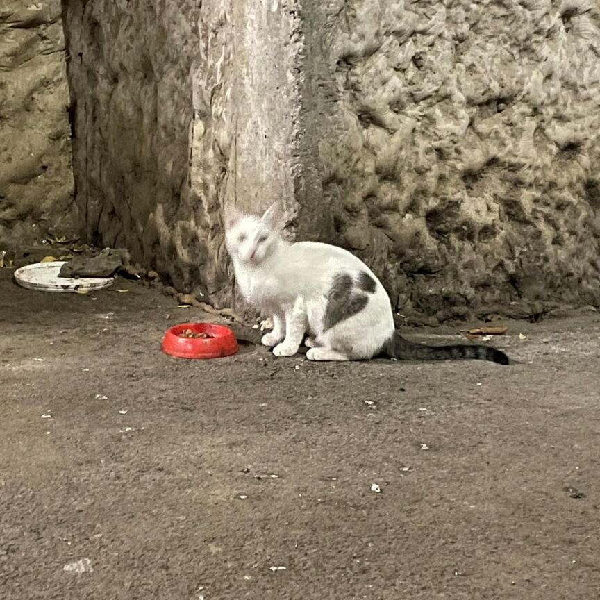 Малыш мёрзнет на удице