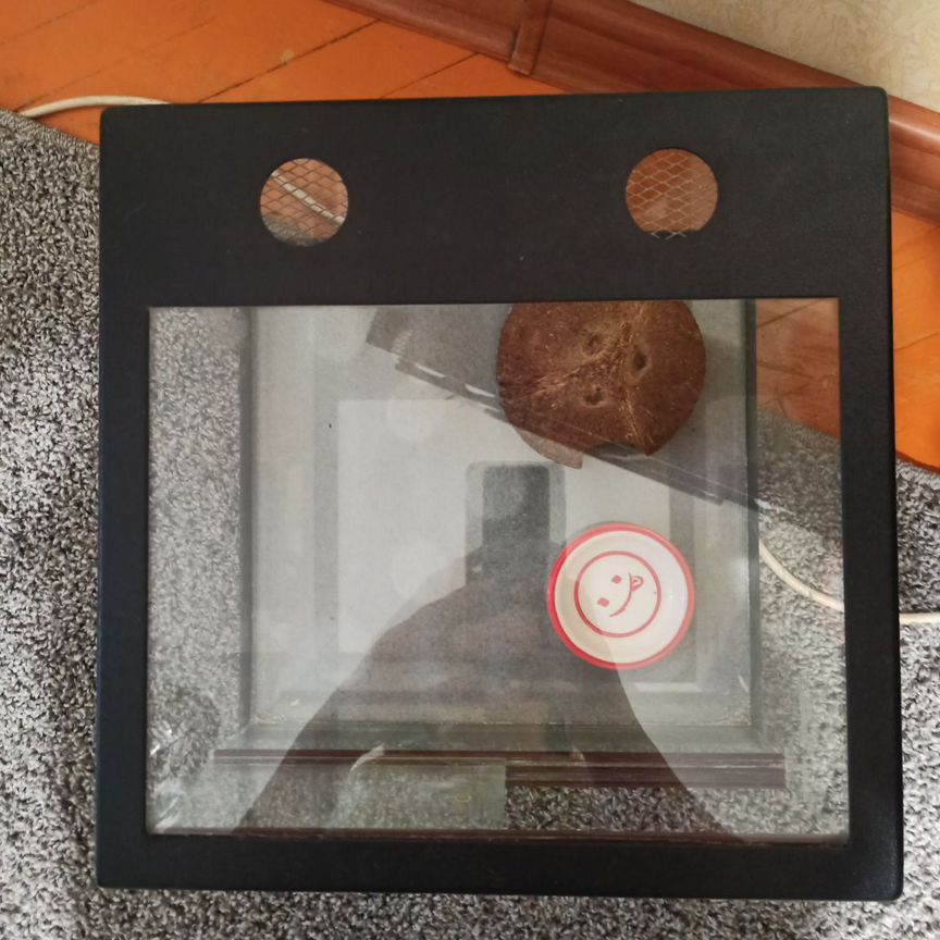 Террариум для эублефара